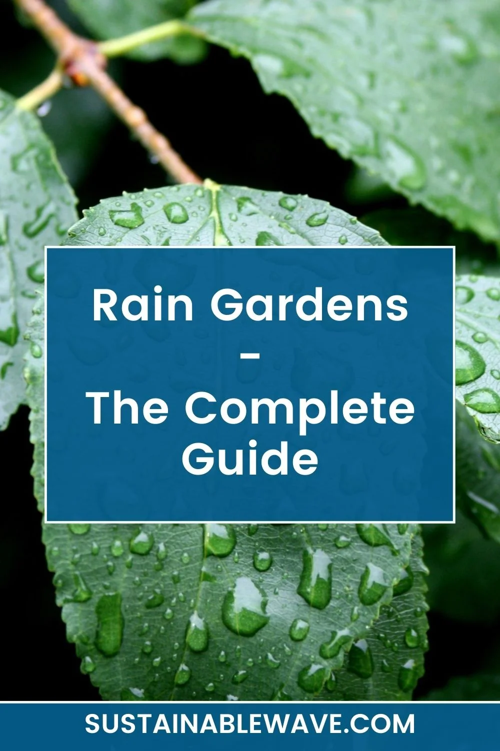 Rain Gardens - The Complete 2024 Guide - Sustainable Wave