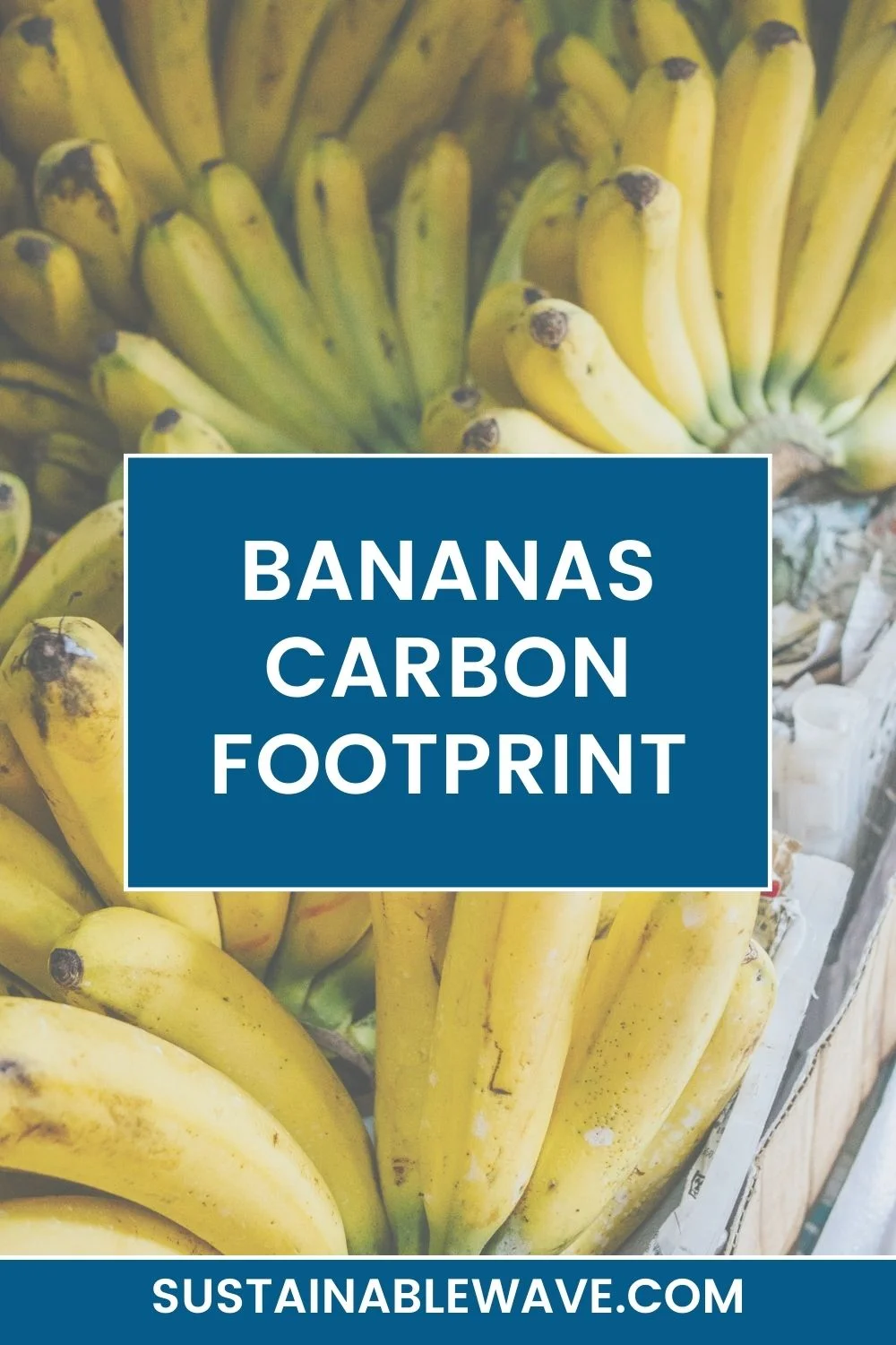 Banana Carbon Footprint In The US - UPDATED 2024 - Sustainable Wave
