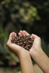 The Problems With Fairtrade Fully Explained - Sustainable Wave