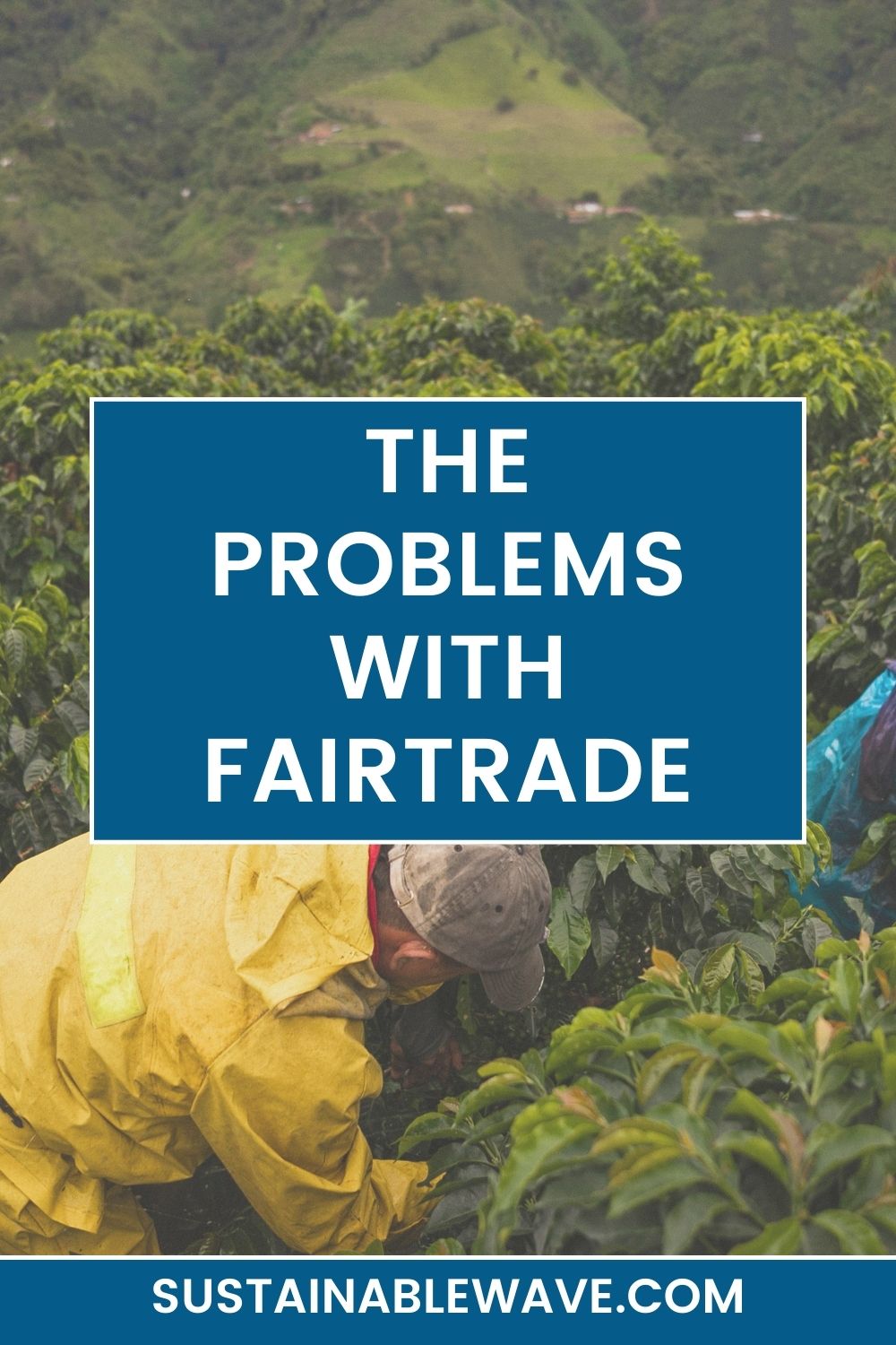 The Problems With Fairtrade Fully Explained - Sustainable Wave