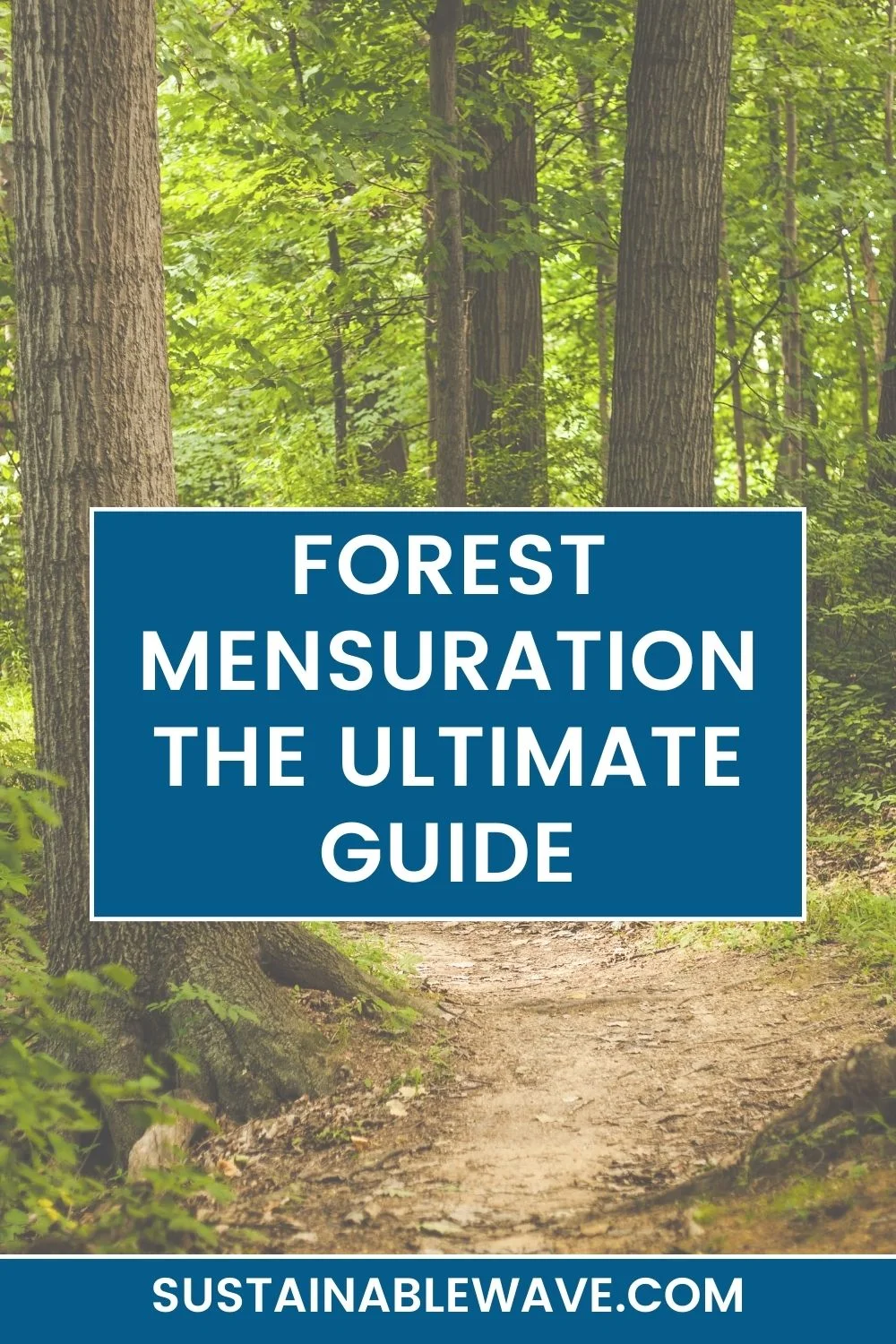 Forest Mensuration - The Ultimate 2024 Guide - Sustainable Wave